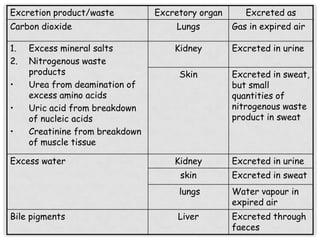 What is Excretion? | PPT