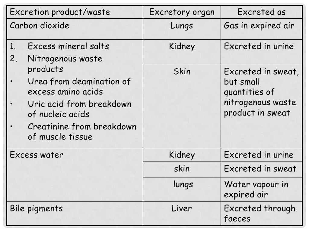 Excretion Meaning