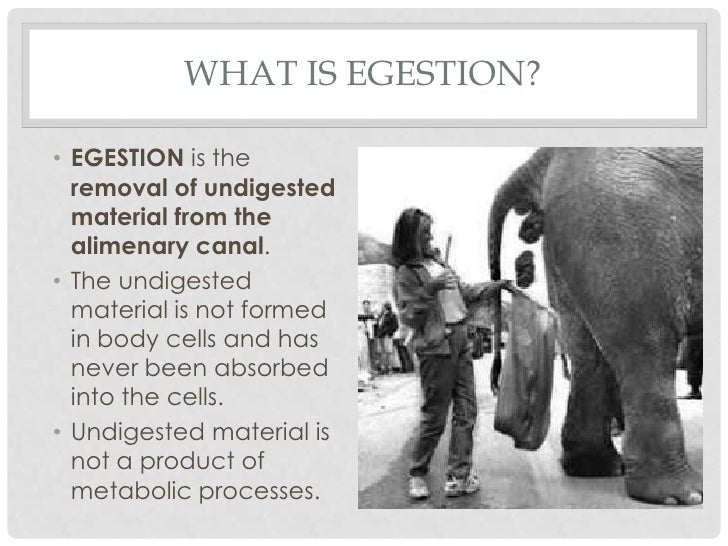 Excretion Meaning Excretory Products and Modes of Excretion ...