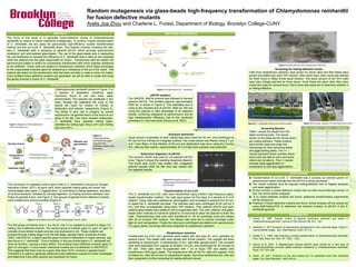 Arelis ChlamyPoster_v4 | PPT