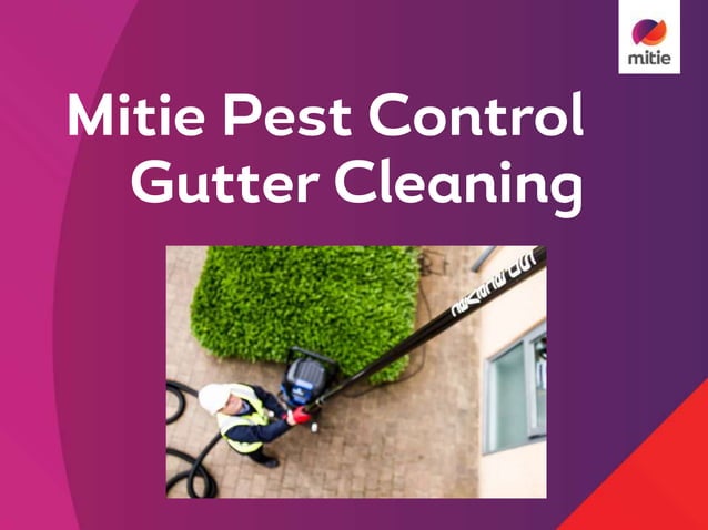 M&B Mitie Gutter cleaner | PPT