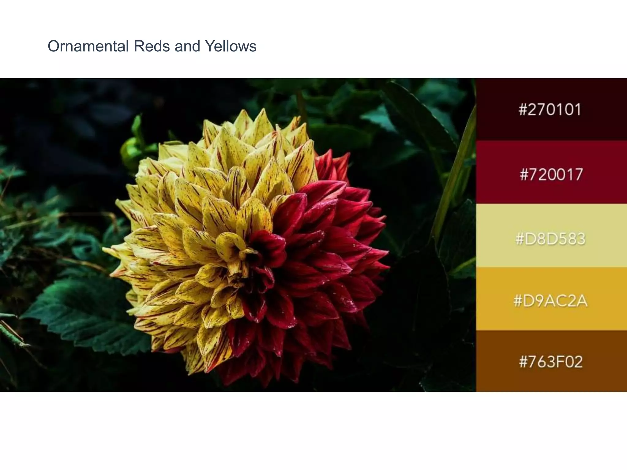 50 best colour combinations to create a perfect ui interface | PPTX