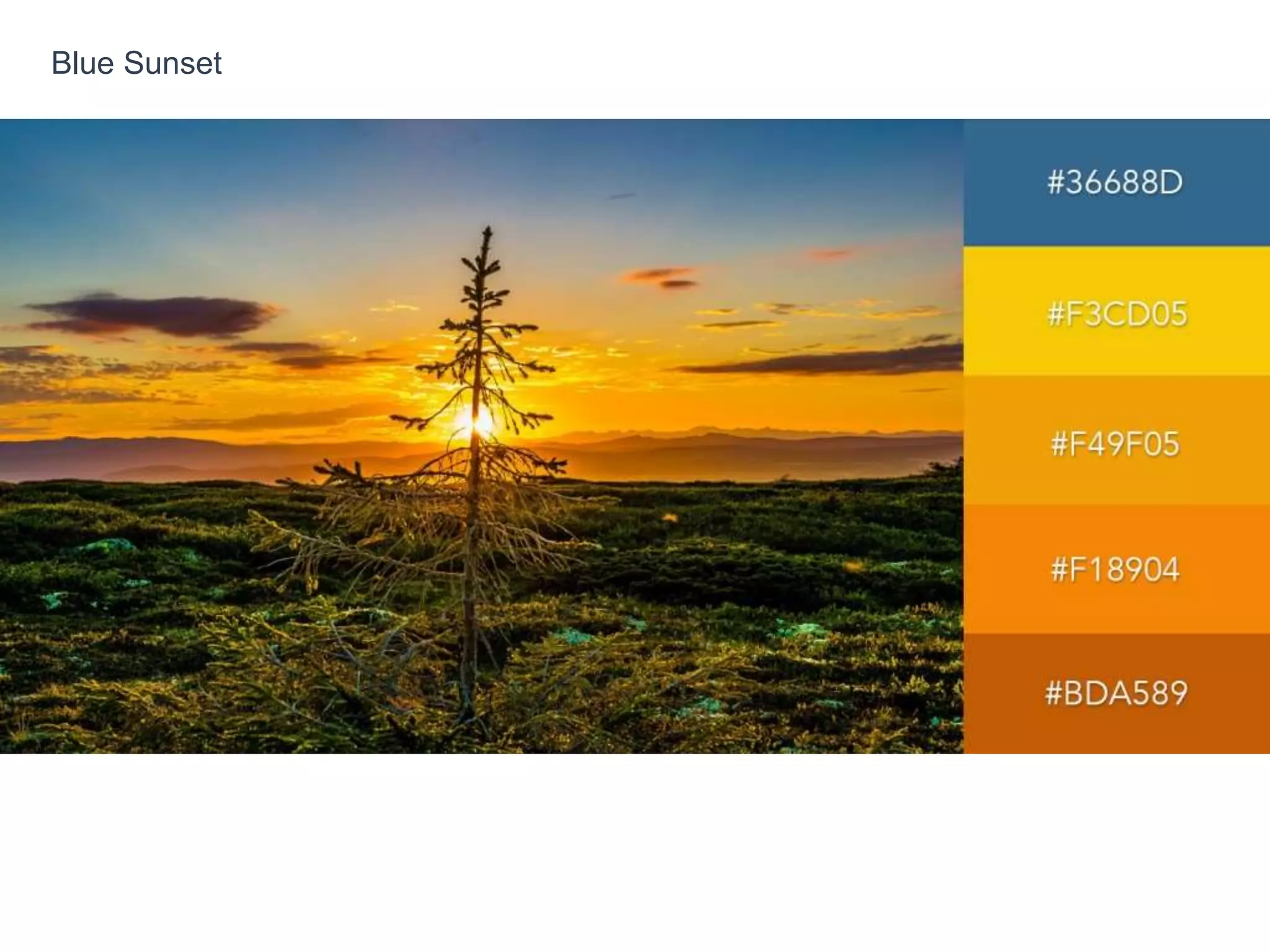 50 best colour combinations to create a perfect ui interface | PPTX