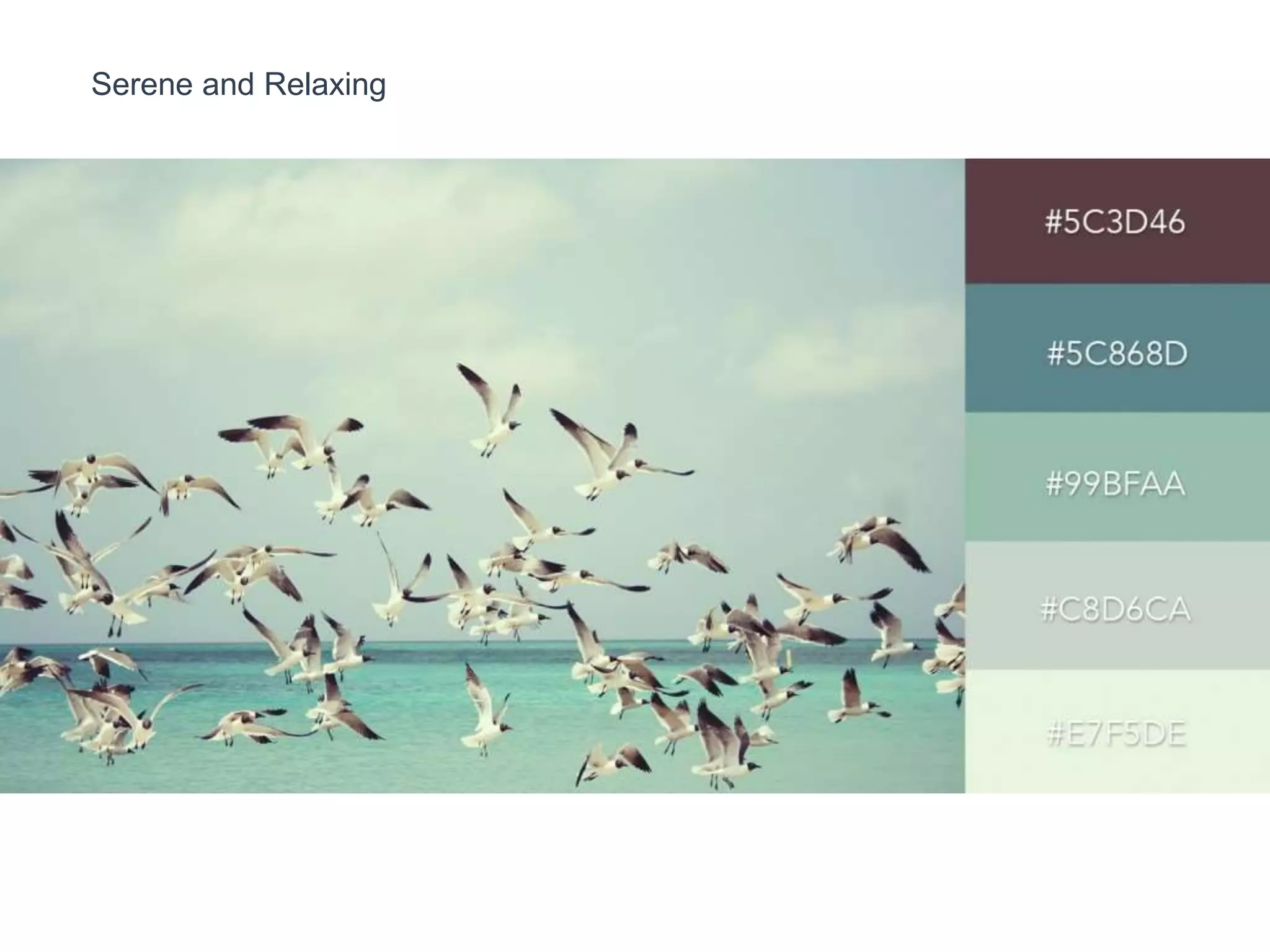 50 best colour combinations to create a perfect ui interface | PPTX
