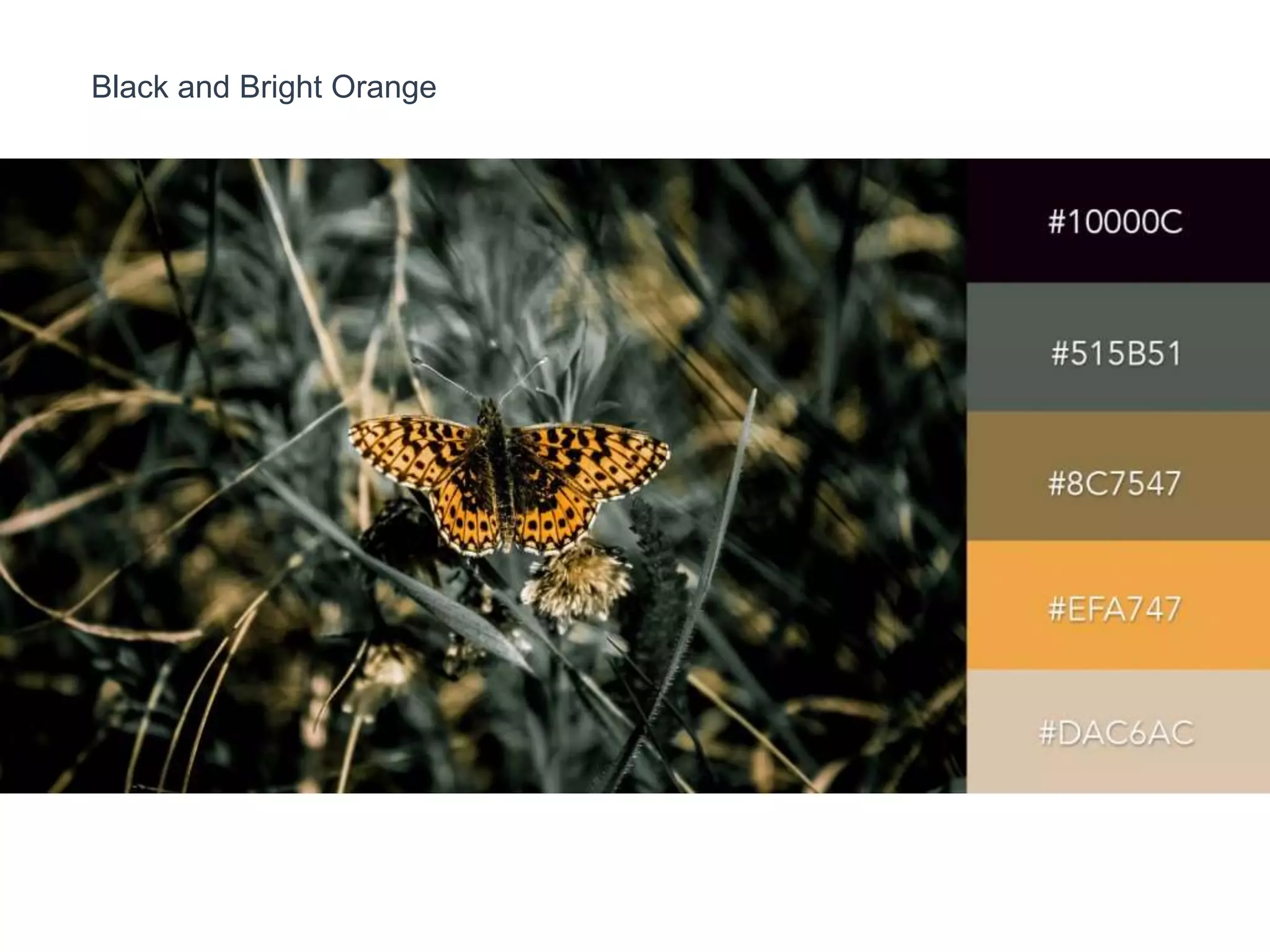 50 best colour combinations to create a perfect ui interface | PPTX