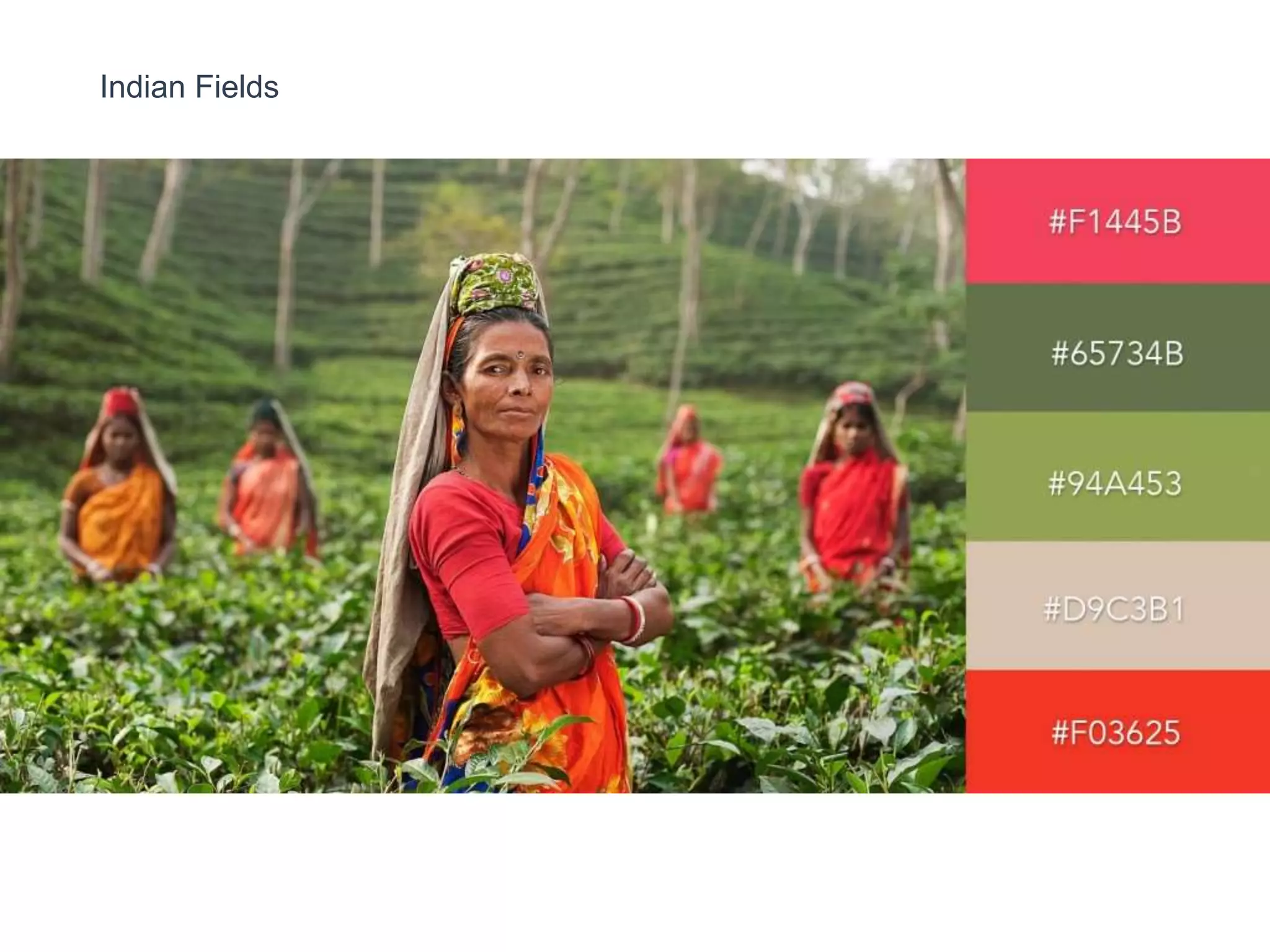 50 best colour combinations to create a perfect ui interface | PPTX