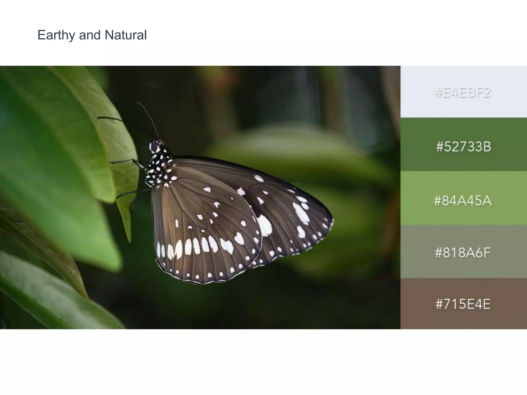 50 best colour combinations to create a perfect ui interface | PPTX