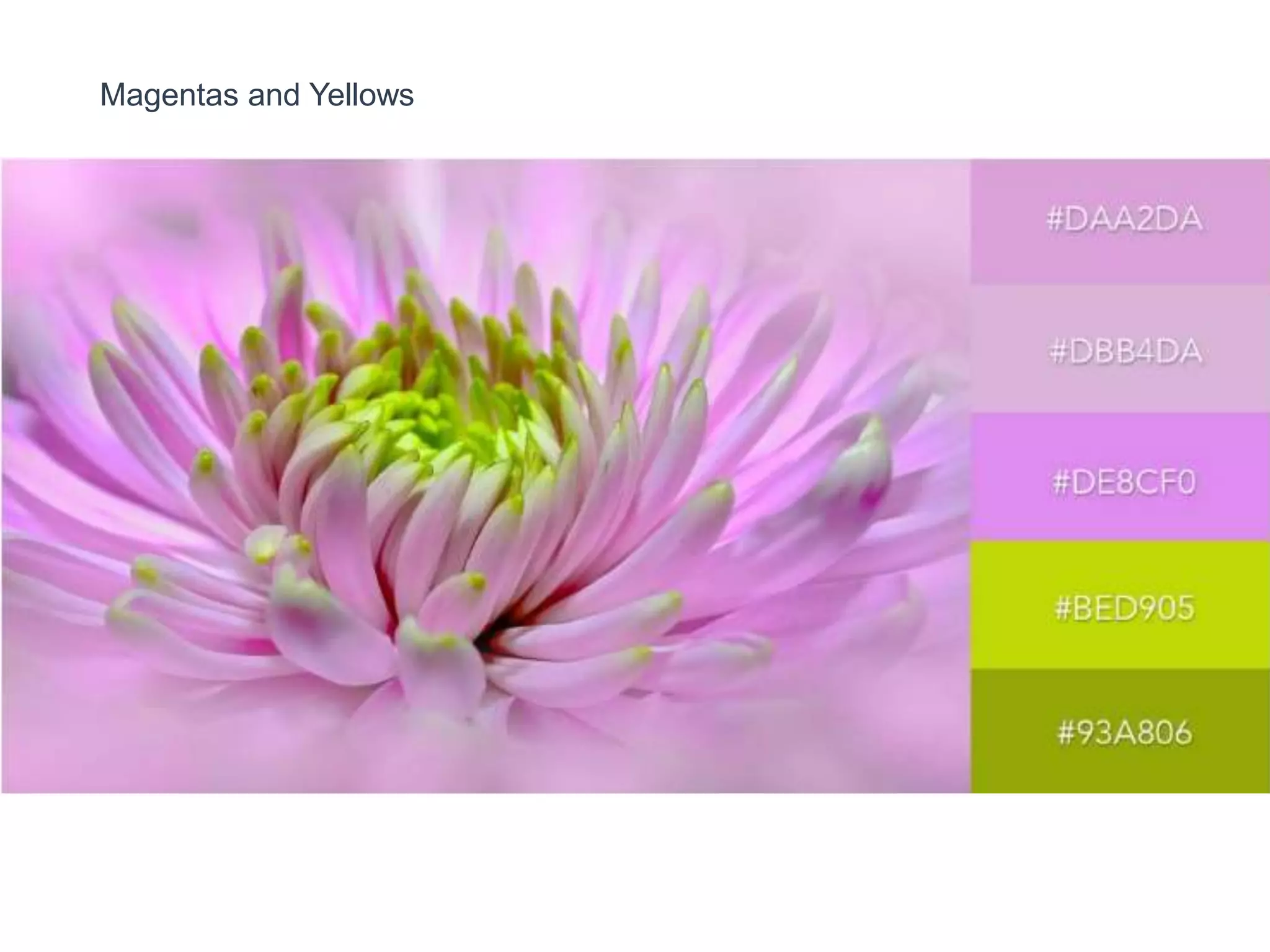 50 best colour combinations to create a perfect ui interface | PPTX