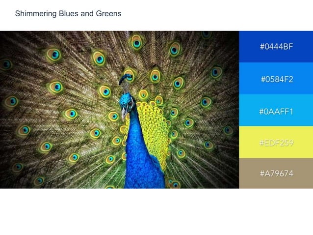 50 best colour combinations to create a perfect ui interface | PPTX