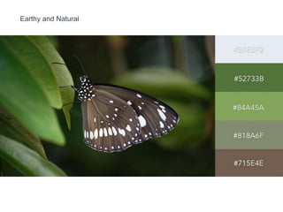 50 best colour combinations to create a perfect ui interface | PPT