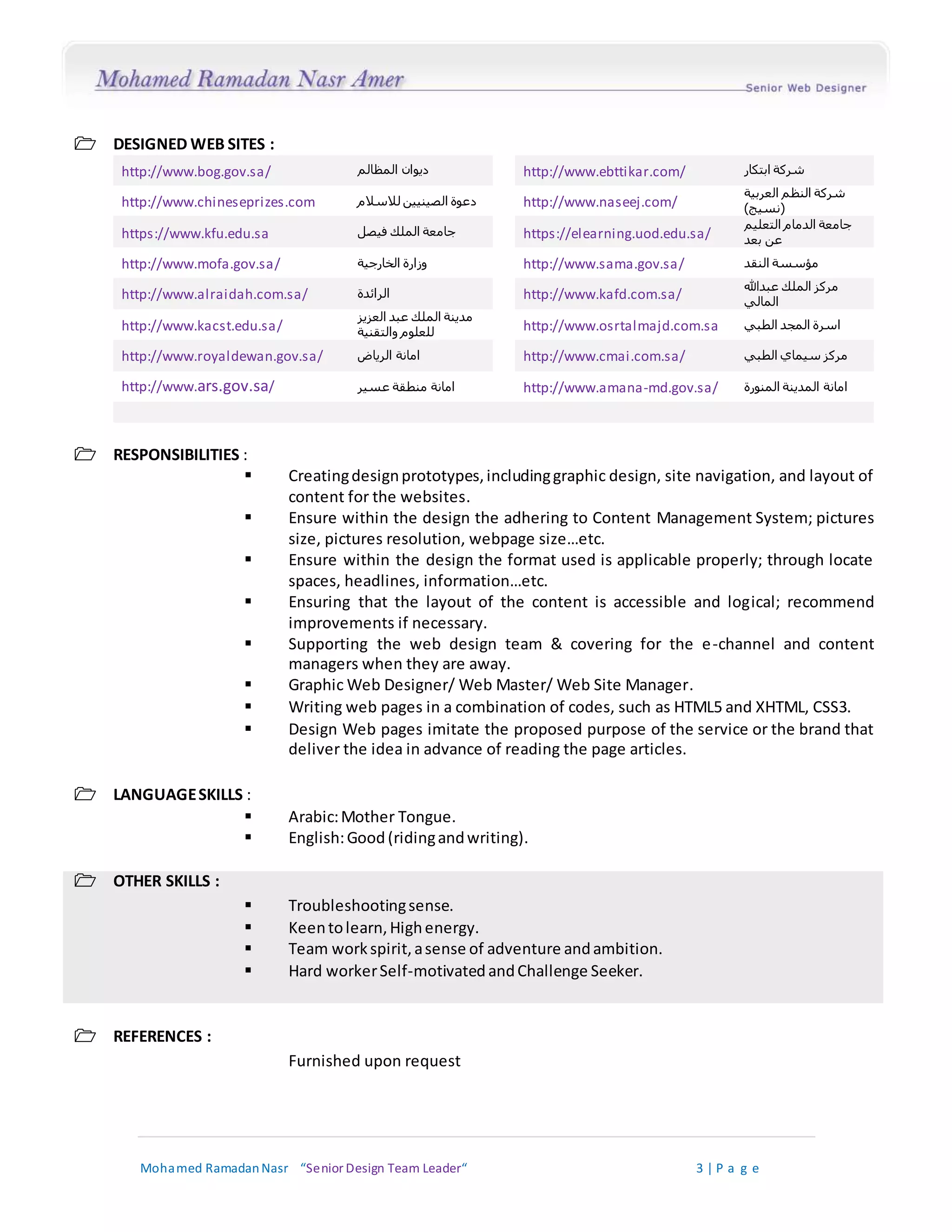 Senior Design Team Leader CV | DOCX