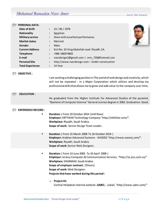 Senior Design Team Leader CV | DOCX