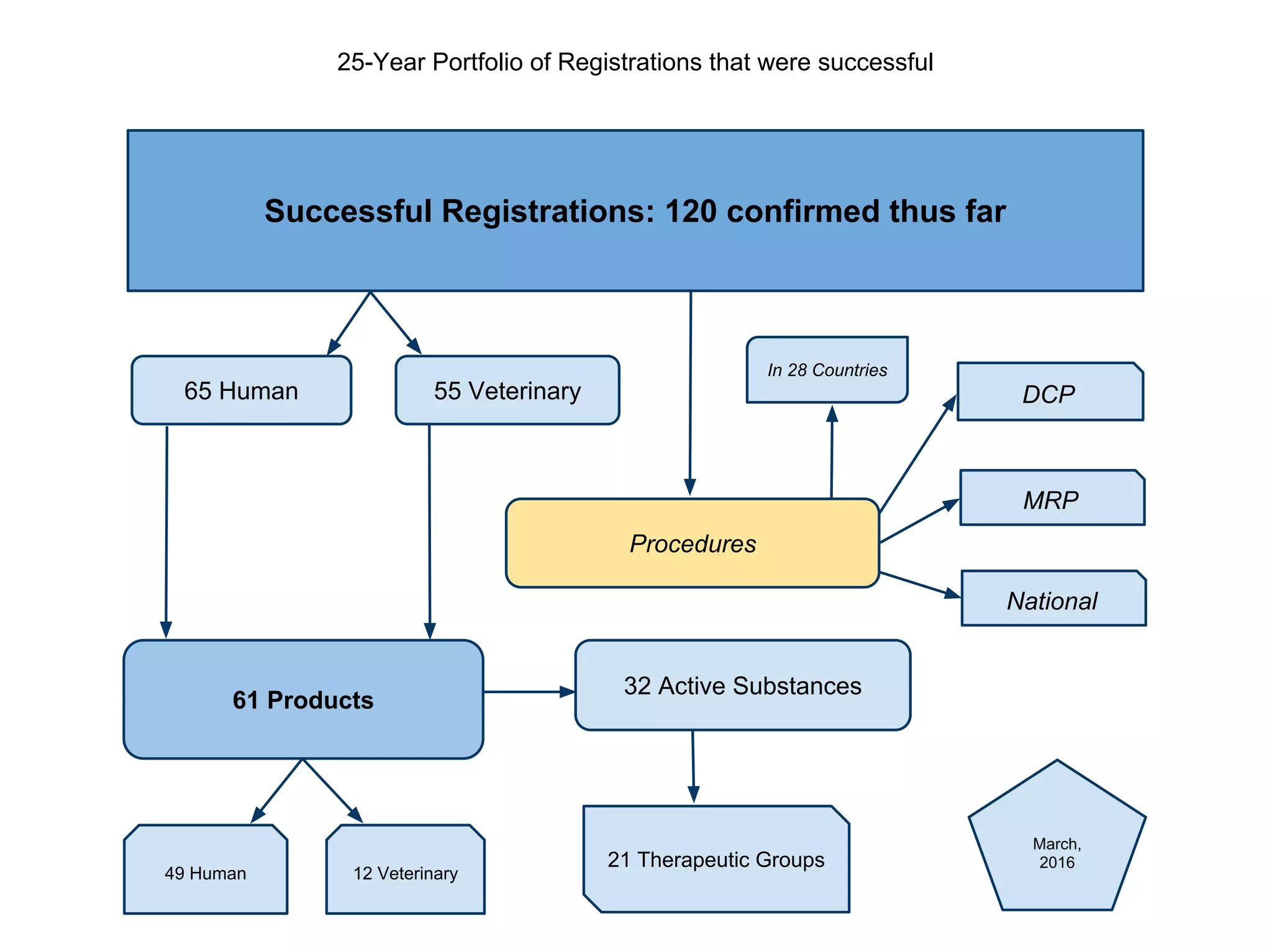 Successful Registrations | PDF
