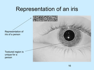 Are Iris Unique To Each Person