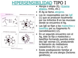 50_hipersensibilidad.ppt