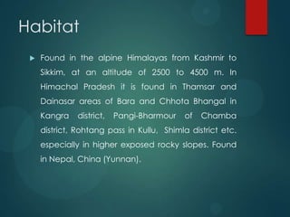Katuki ka varnan sanskrit mein kia hua hain | PPT
