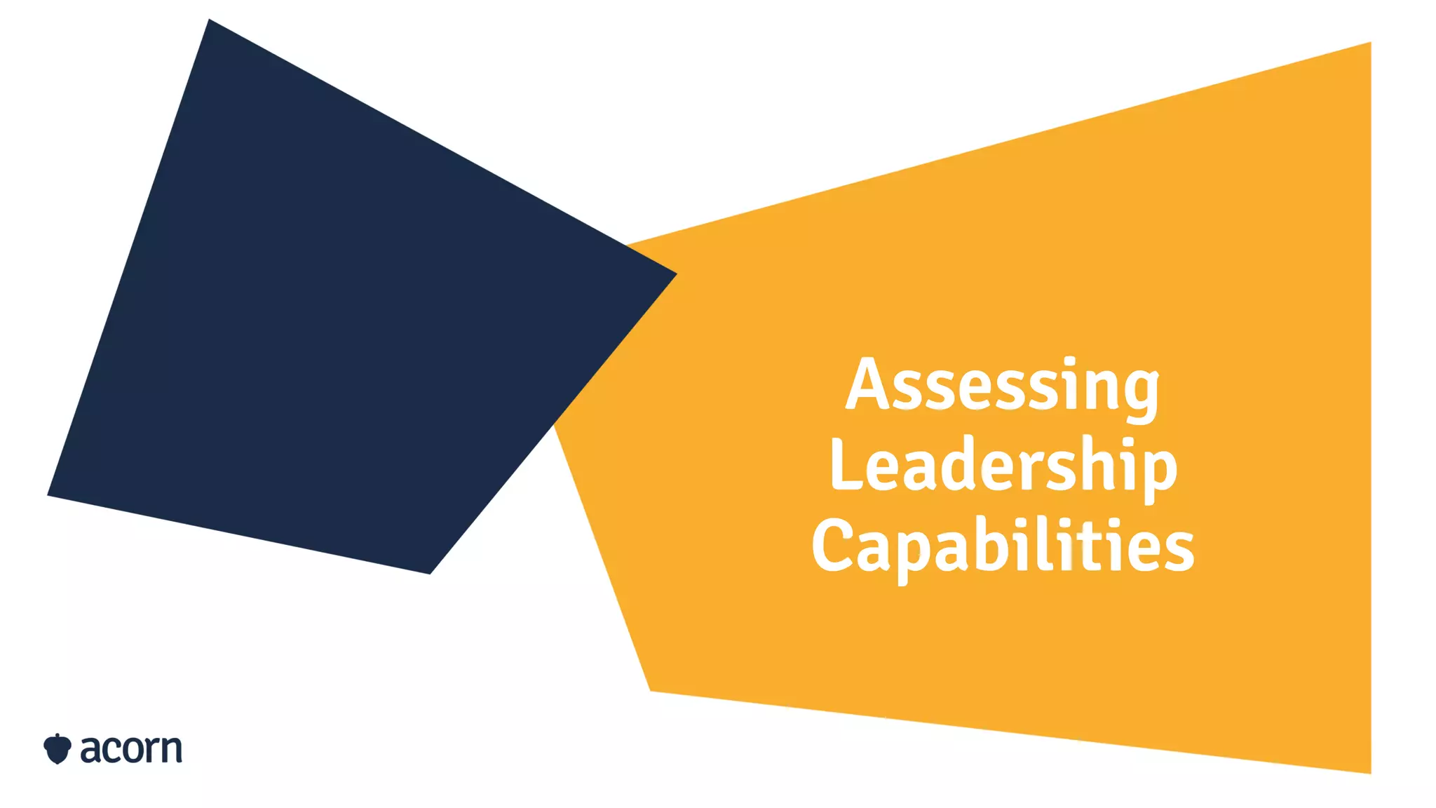 The Value of a Leadership Capability Assessment | PDF