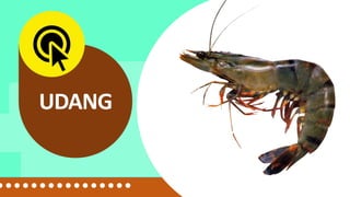 hewan- macam macam binatang di air | PPT