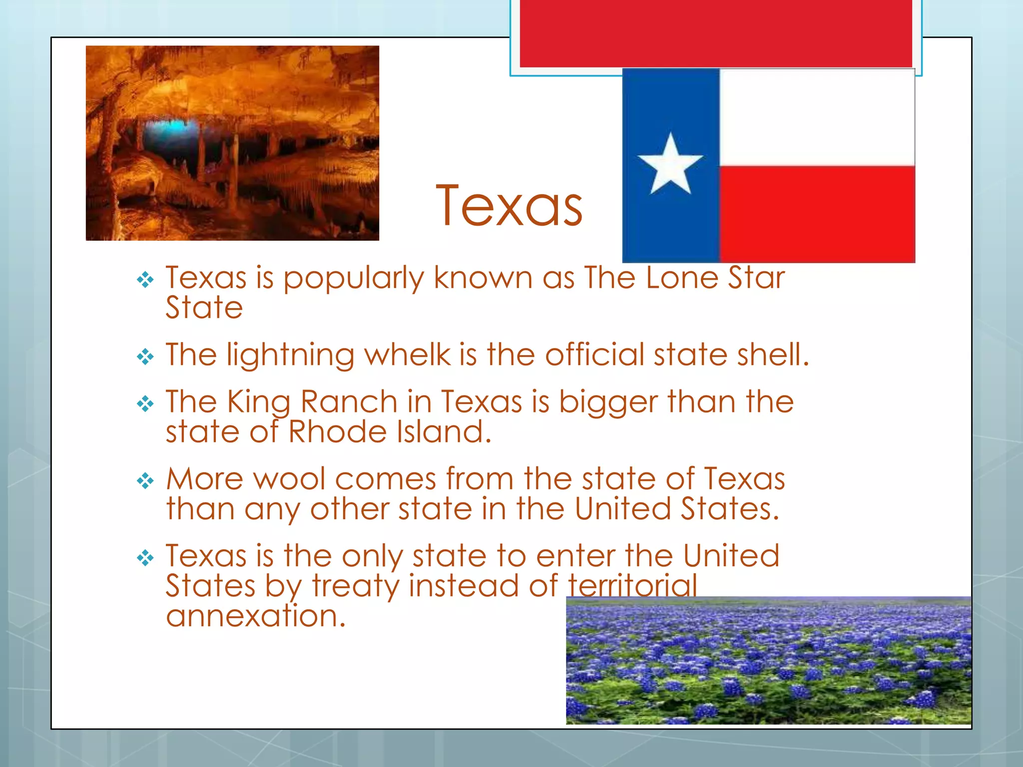 50 states | PPT