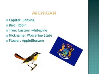 50 states | PPT