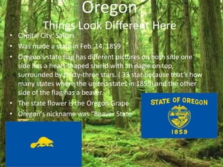 50 states!! by arlena waldie | PPTX