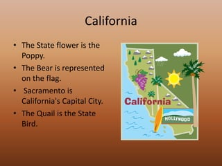 50 states powerpoint | PPTX
