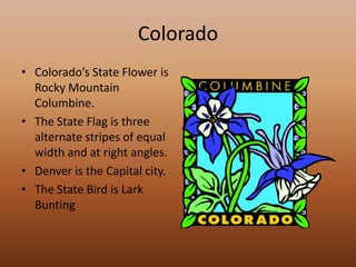 50 states powerpoint | PPTX