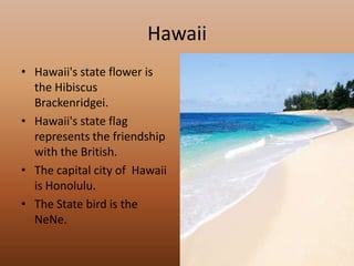 50 states powerpoint | PPTX