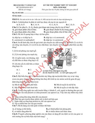 50 ĐỀ THAM KHẢO SỐ KỲ THI TỐT NGHIỆP THPT NĂM 2026 MÔN SINH HỌC BÁM SÁT ...