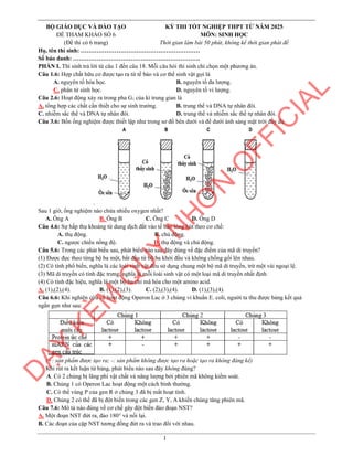 50 ĐỀ THAM KHẢO SỐ KỲ THI TỐT NGHIỆP THPT NĂM 2026 MÔN SINH HỌC BÁM SÁT ...