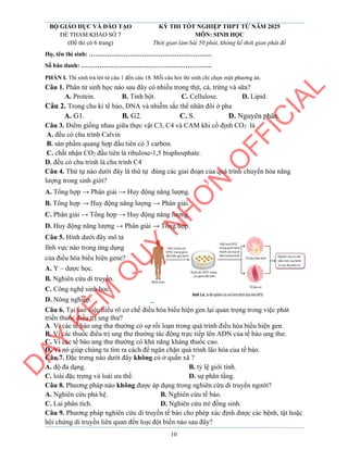 50 ĐỀ THAM KHẢO SỐ KỲ THI TỐT NGHIỆP THPT NĂM 2026 MÔN SINH HỌC BÁM SÁT ...