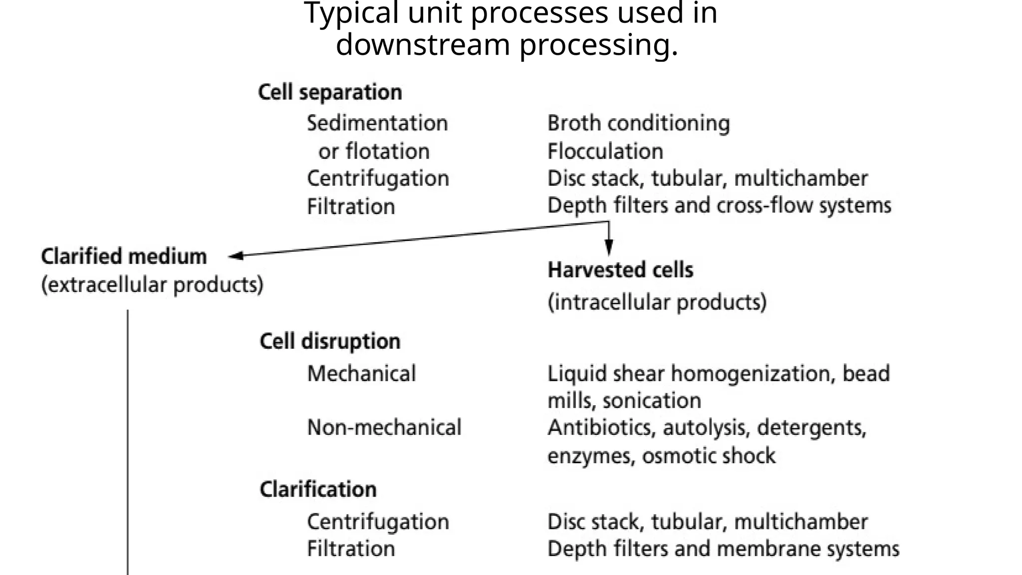 UP and Down Stream Processes in industry | PPT
