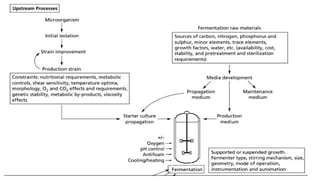 UP and Down Stream Processes in industry | PPT