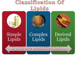 Chemistry of Lipids - Classification | PPSX