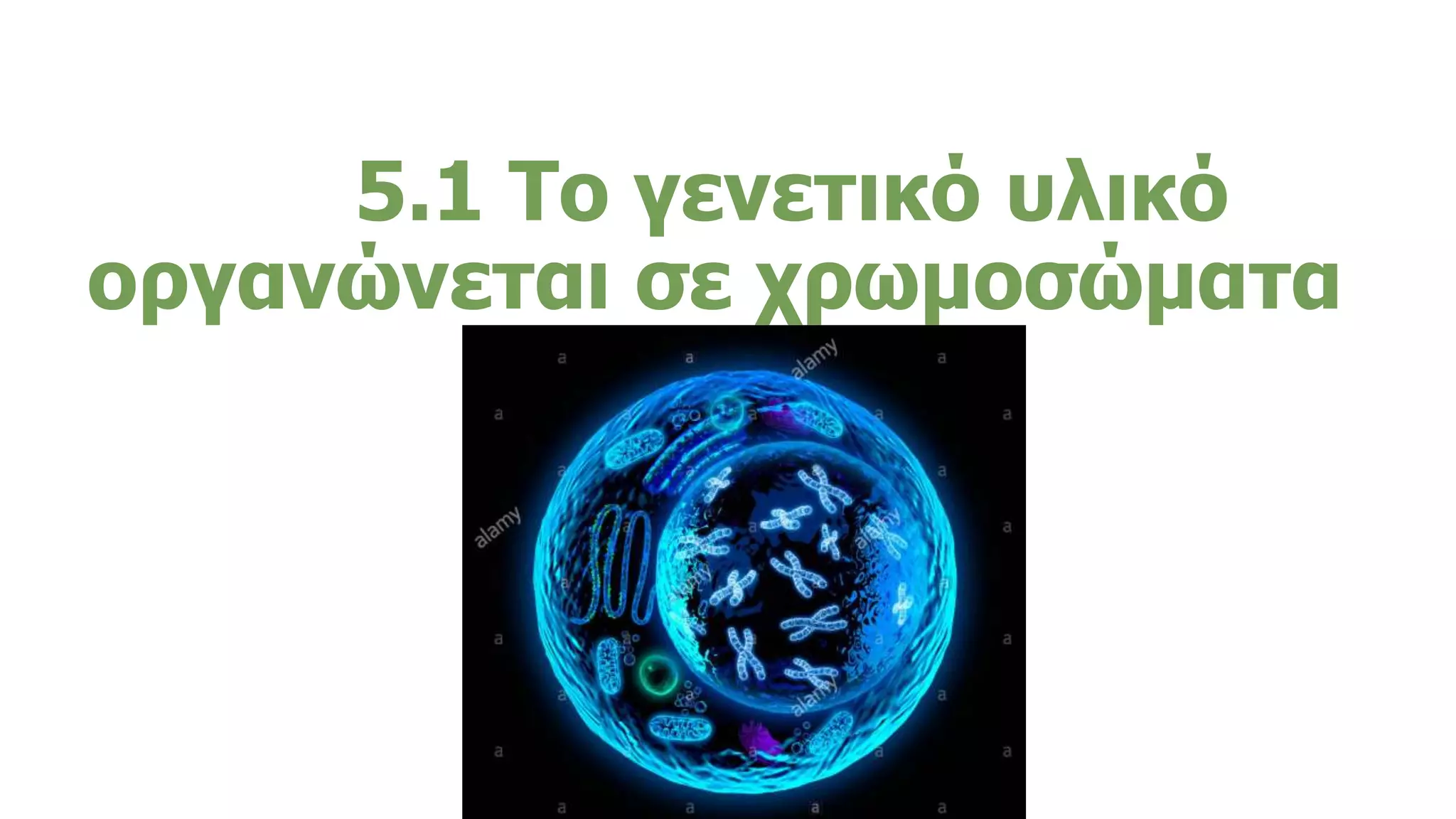 Το γενετικό υλικό οργανώνεται σε χρωμοσώματα | PPTX