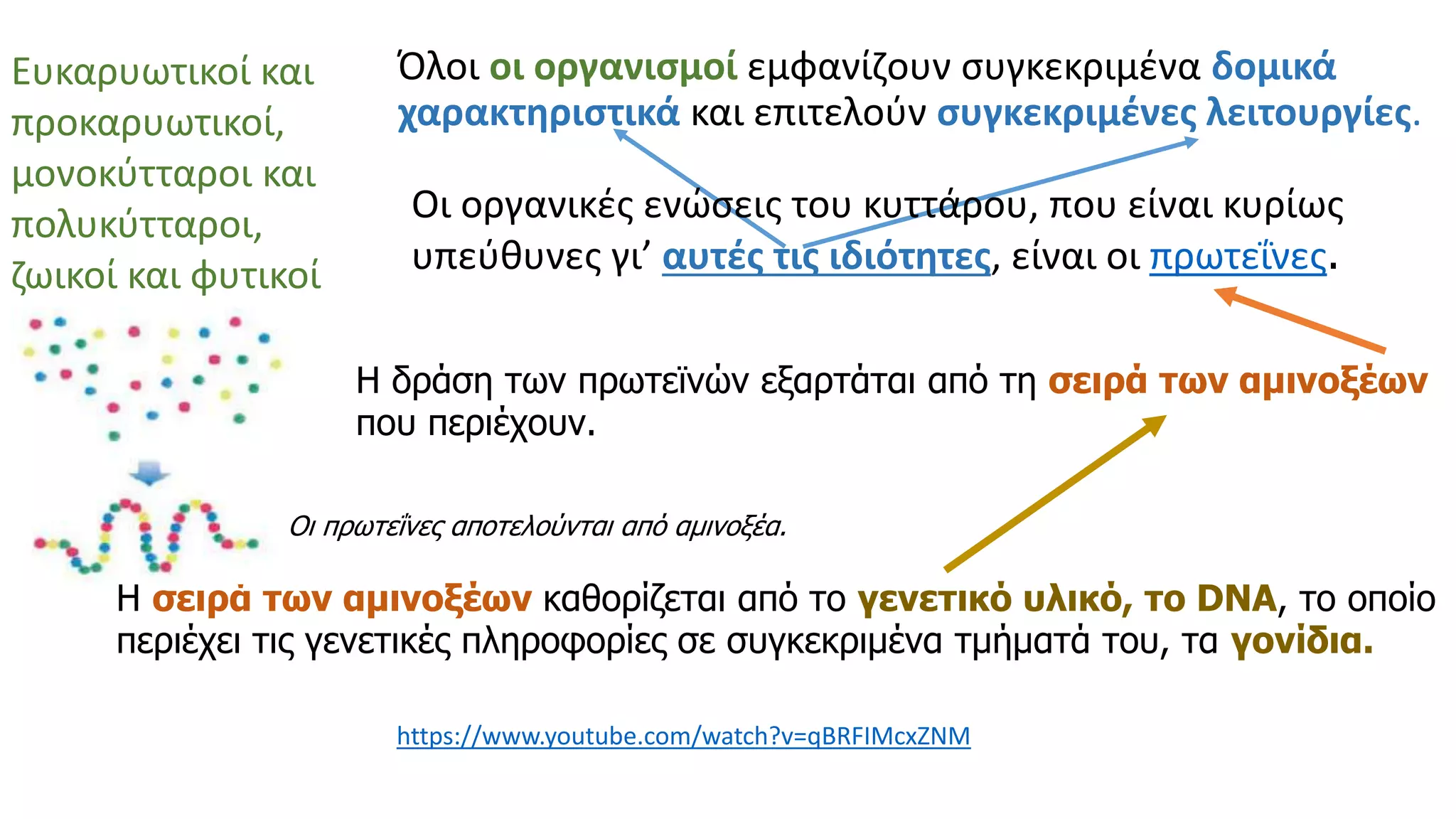 Το γενετικό υλικό οργανώνεται σε χρωμοσώματα | PPTX