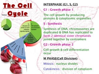 Form 4 biology chap5 pt1 | PPT