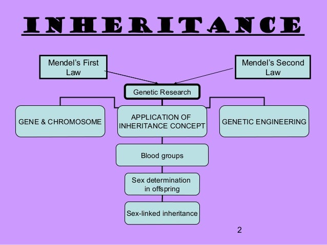 the concept of inheritance