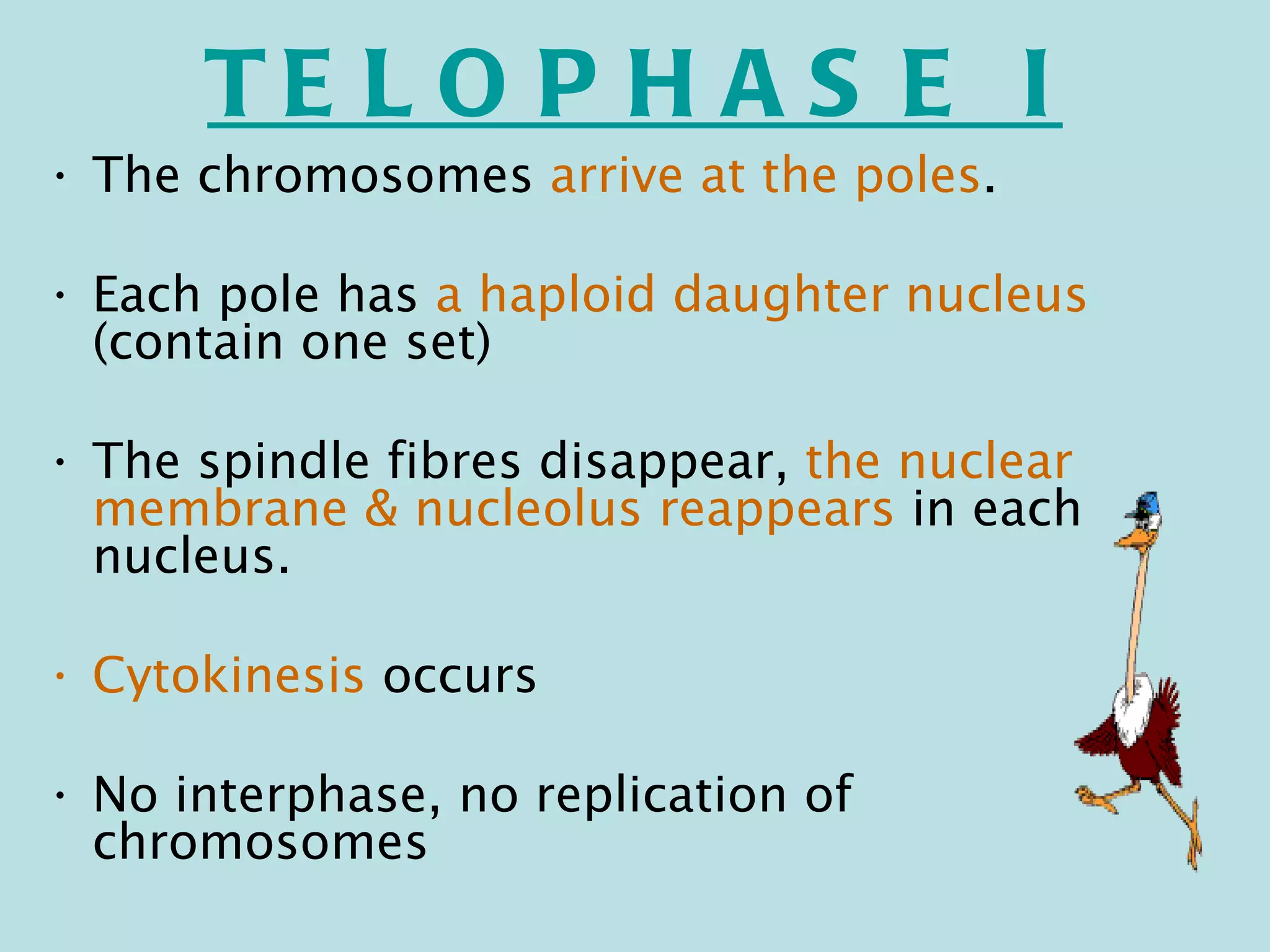 form 4 biology chap5 pt2 | PPT