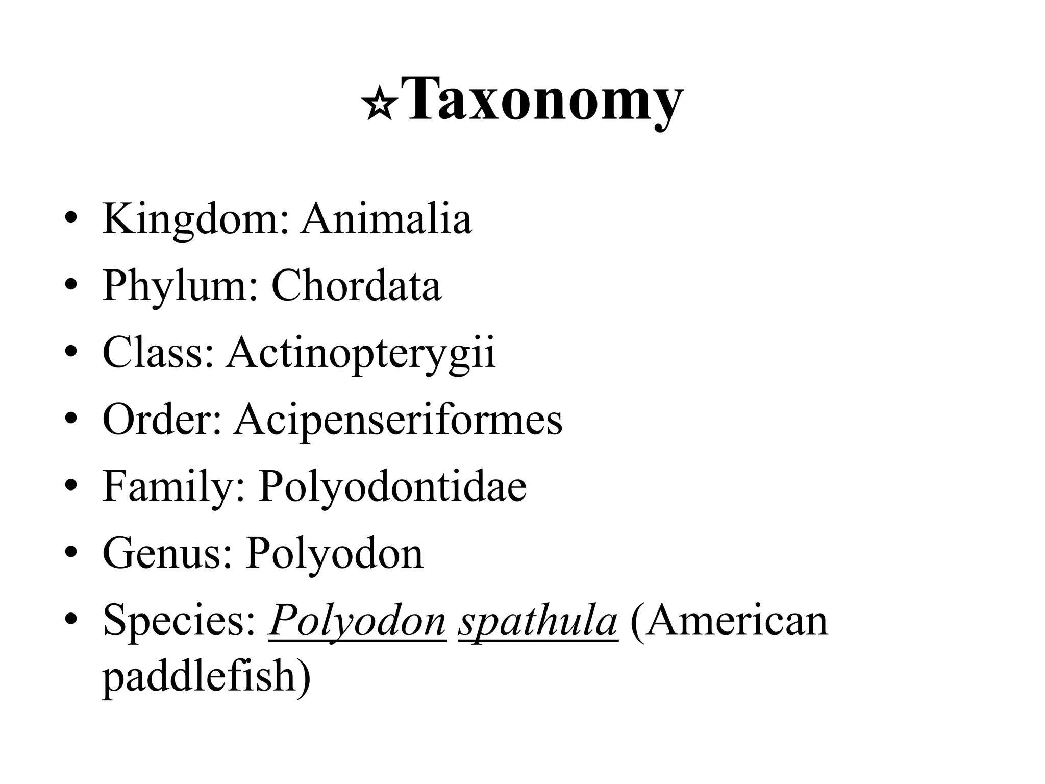 Introduction to Paddle Fish and its meristic characters | PPTX