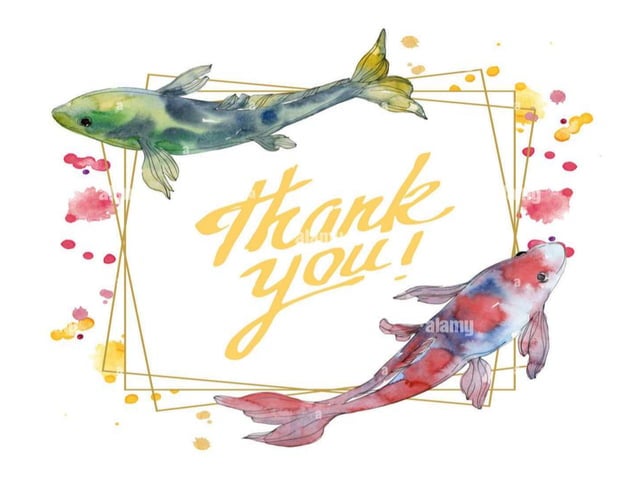 Introduction to Paddle Fish and its meristic characters | PPTX