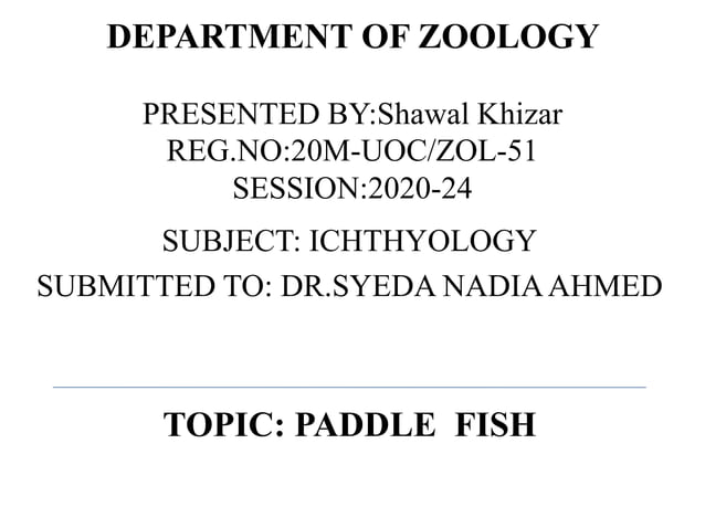 Introduction to Paddle Fish and its meristic characters | PPTX