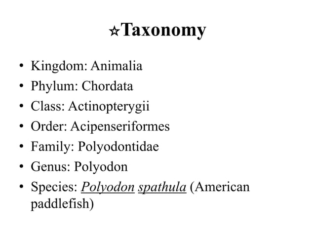 Introduction to Paddle Fish and its meristic characters | PPTX