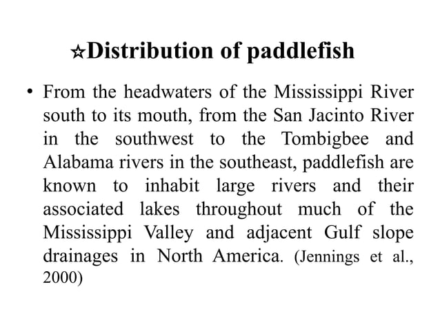 Introduction to Paddle Fish and its meristic characters | PPTX
