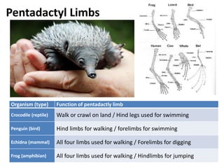5_1-5_2_slides (1).pptx