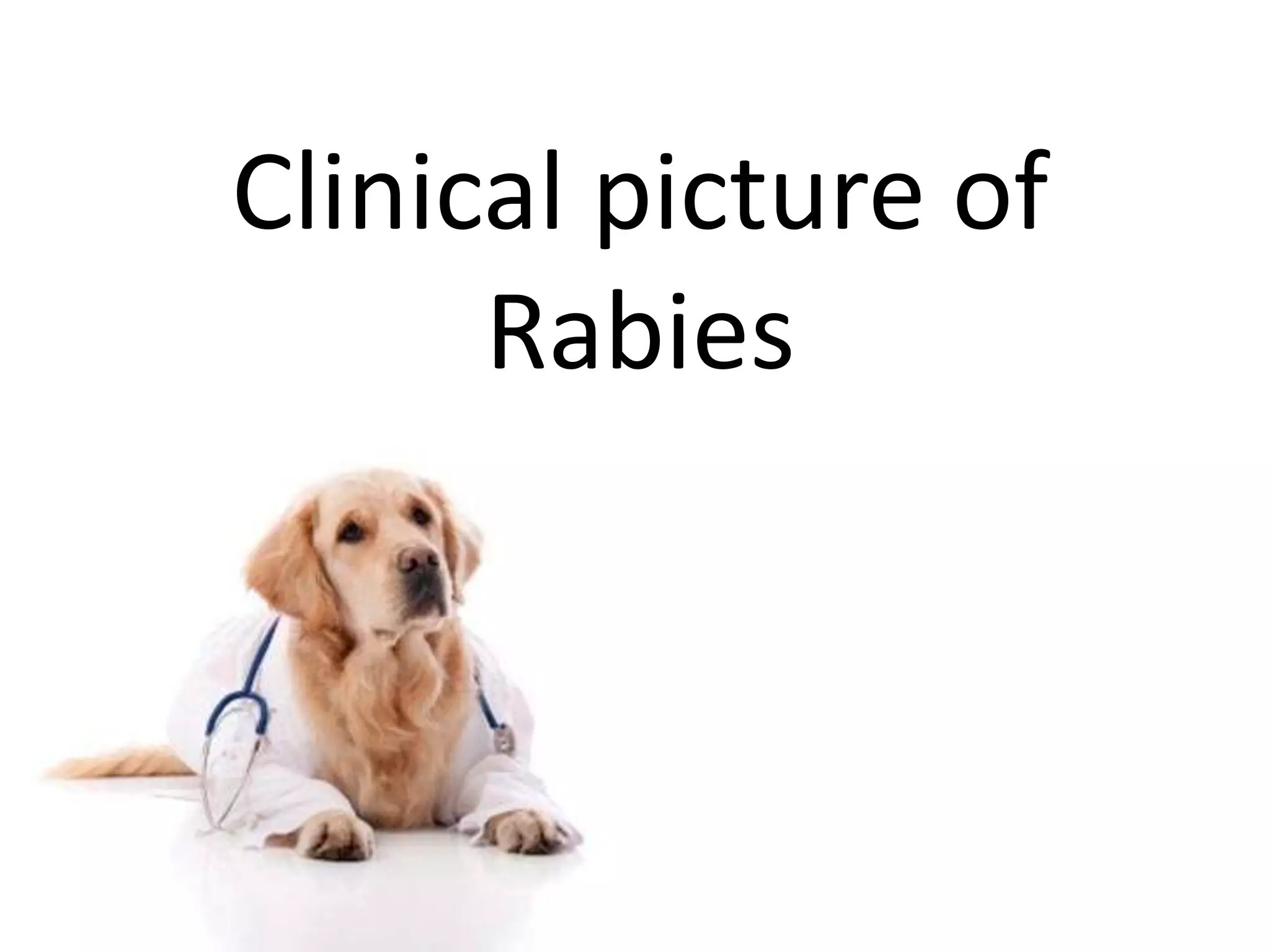 Clinical picture of Rabies | PPTX