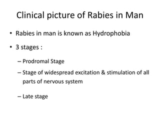 Clinical picture of Rabies | PPT
