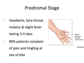 Clinical picture of Rabies | PPT