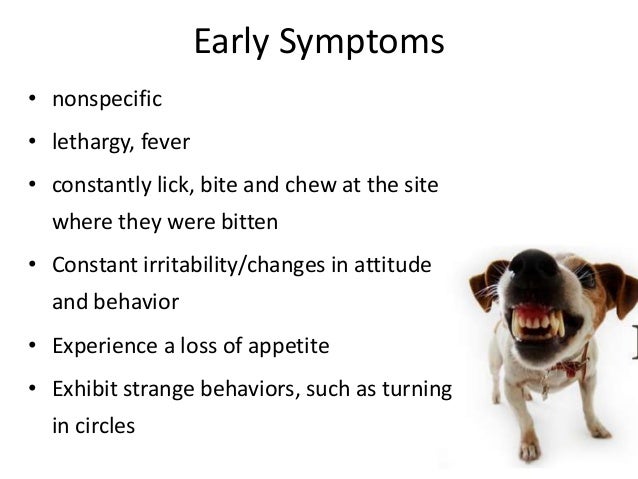 Clinical picture of Rabies