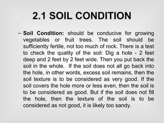 Choosing an Ideal Land | PPT | Developmental Sites | Real Estate
